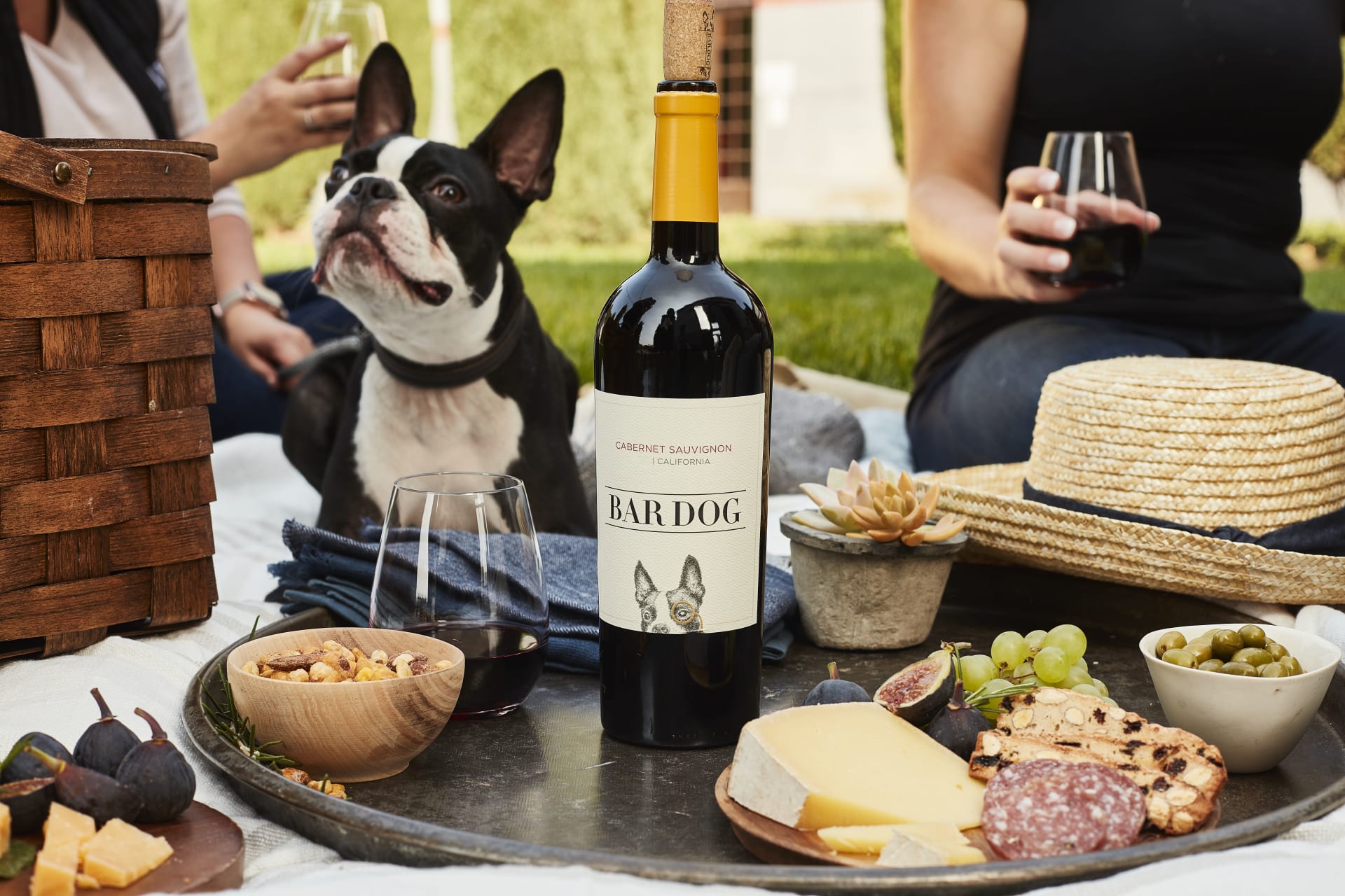 Dogs Wine